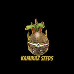 Blue Chronic #1 (Kamikaz Seeds) :: Cannabis Strain Info :: SeedFinder.eu