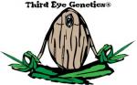 MK Ultra Black Ops (Third Eye Genetics) :: Cannabis Strain Info ...