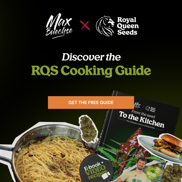 Italian Ice (3rd Coast Genetics) :: Cannabis Strain Info :: SeedFinder.eu