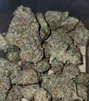 Blockberry (Blockhead Buds) :: Cannabis Strain Info :: SeedFinder.eu